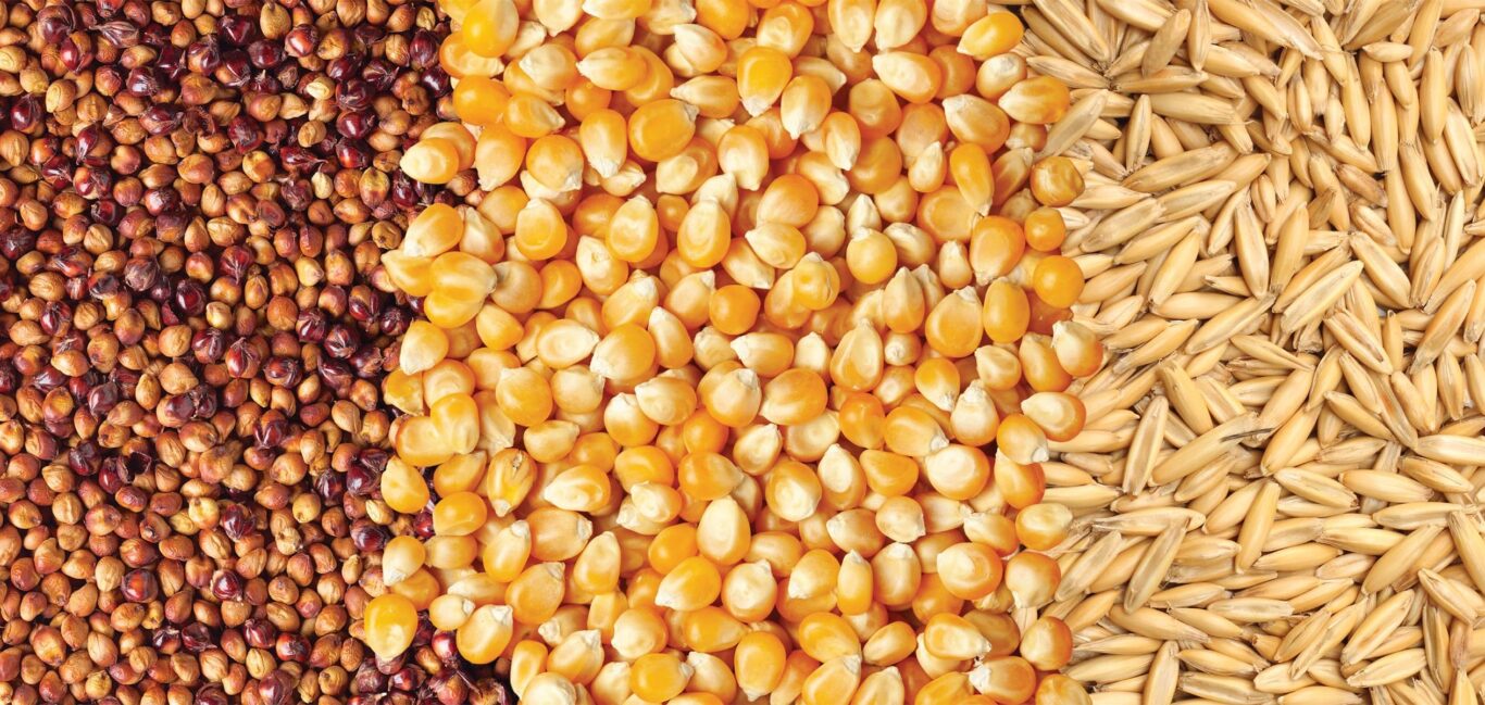 Synercore – Leaders in Food Innovation